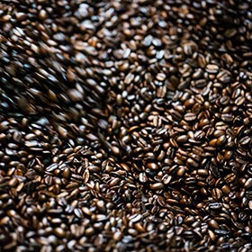 Buy Coffee & Tea Online with Java Republic