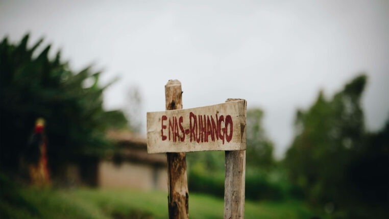 Rwandan Coffee Farming Communities | Ruhango Region