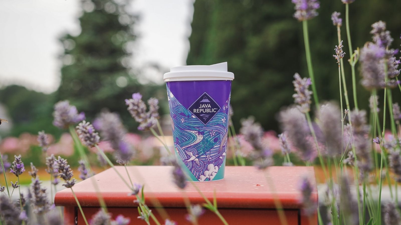 Plastic Free July Challenge | Java Republic | Ireland