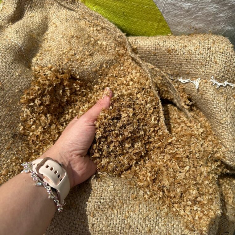 Our Latest Sustainability Initiatives | A Carbon Neutral Business